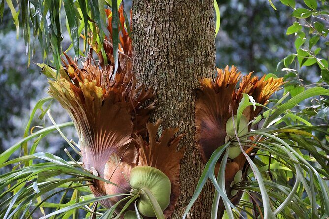 Private tour of Kiama Blowholes, Sea Cliff Bridge and Wattamolla - The Value of This Experience