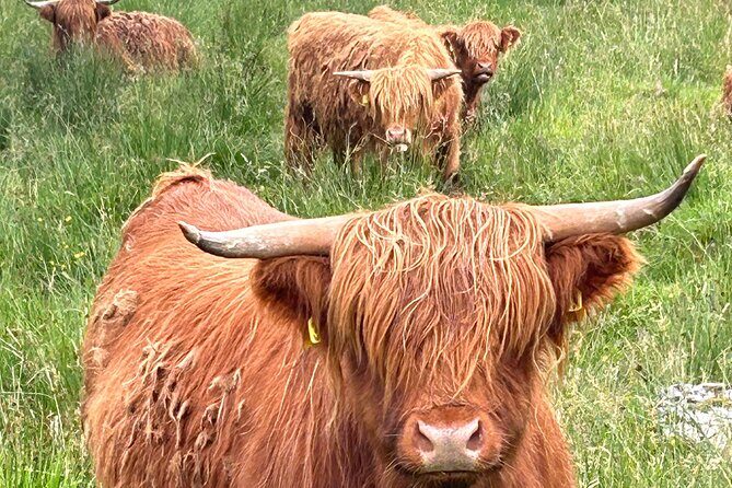 Private Tour of Loch Ness, Glencoe and Highlands from Edinburgh - Additional Information