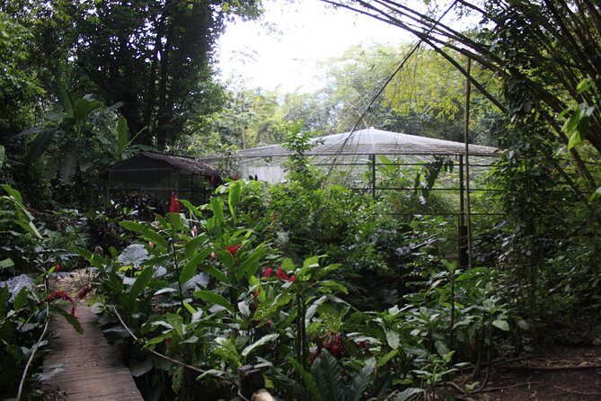 Private tour of magical waterfalls huatulco HT - A Detailed Look at the Private Waterfalls Tour