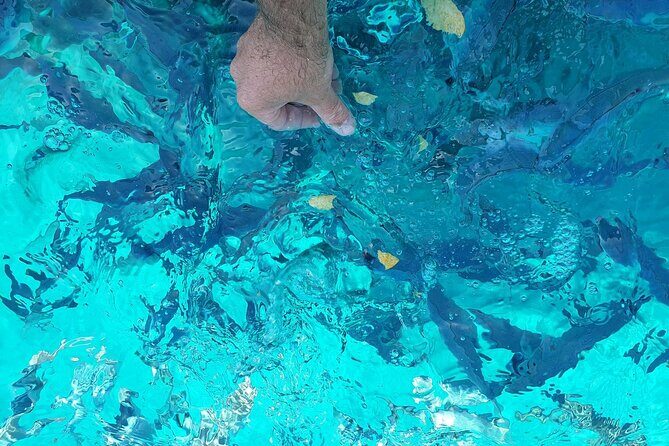 Private tour of Pakleni islands, Red Cliffs & South Shore of Hvar - The Authentic Experience: What Youll Really Love