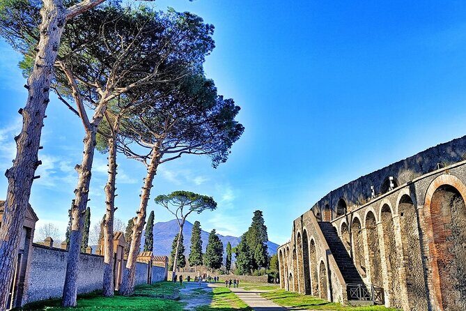 Private tour of Pompeii with archaeologist - 3 hours. - FAQs