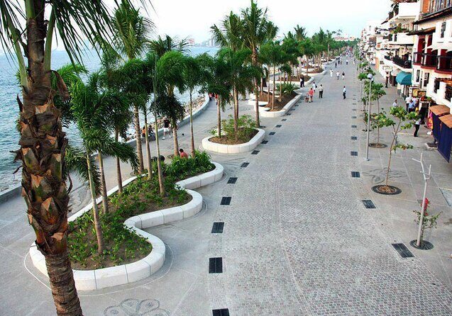 Private Tour of Puerto Vallarta and the Subtropical Forest - Key Points