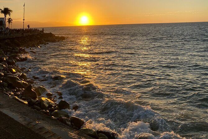 Private Tour of Puerto Vallarta and the Subtropical Forest - FAQ