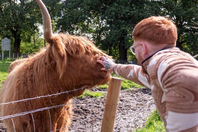 Private Tour of Scottish Highlands, Loch Lomond and castles - Who Is This Tour Best For?
