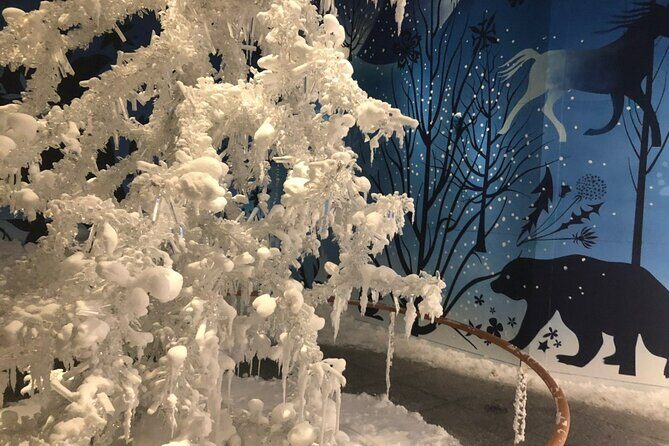 Private Tour of Swarovski Crystal World from Innsbruck - Highlights From the Reviews