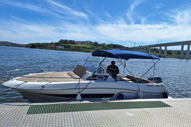 Private Tour of the 6 Bridges with Port Wine - The Itinerary: Every Stop and What It Means