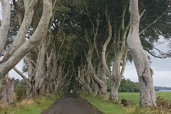 Private tour of the Antrim coast , Giants Causeway and Game of Throne locations - An In-Depth Look at the Itinerary