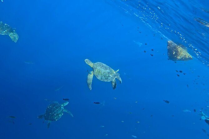 Private Tour of the Beaches of Puerto Escondido in Lancha - FAQs