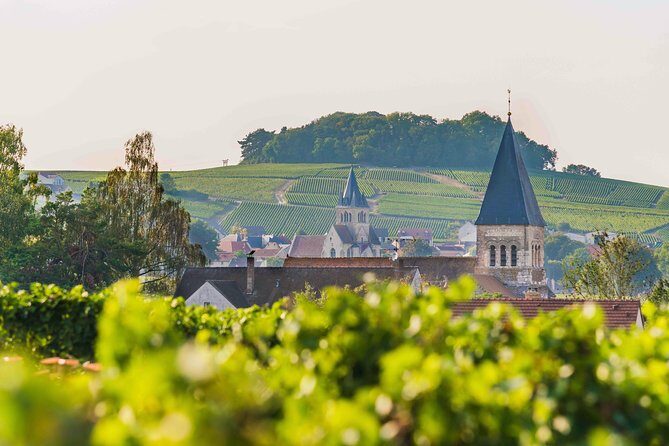 Private tour of the Champagne area, meet local producers and taste their Champagne, start from your hotel in Paris. - What Sets This Tour Apart