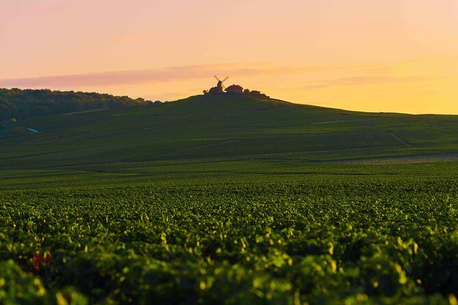 Private tour of the Champagne area, meet local producers and taste their Champagne, start from your hotel in Paris. - The Sum Up: Is This Tour Worth It?