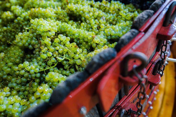 Private tour of the Champagne area, meet local producers and taste their Champagne, start from your hotel in Paris. - Frequently Asked Questions