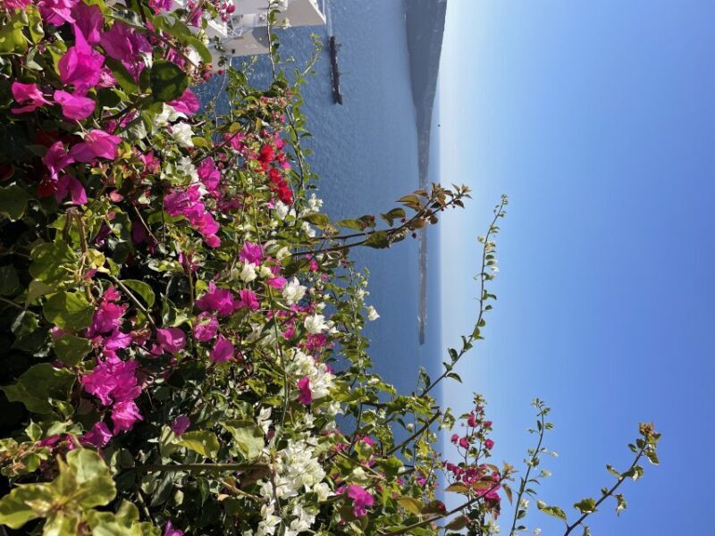 Private Tour of the Famous Blue Domes and Caldera - The Sum Up