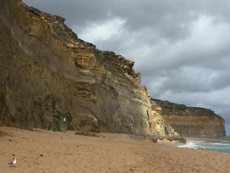 Private Tour of the Great Ocean Road & 12 Apostles - Key Points