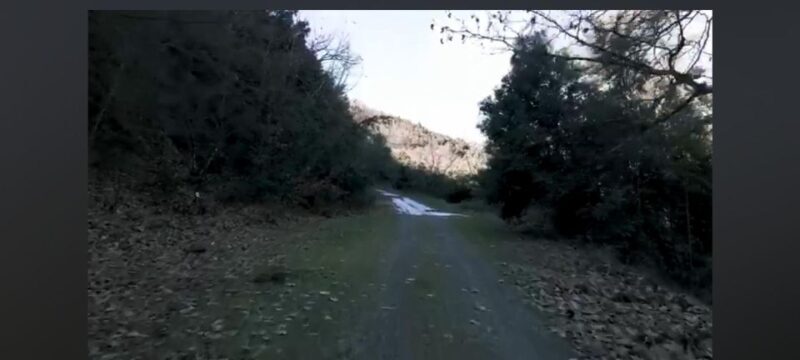 Private tour of Thermopylae ( optional Delphi sight ) - Final Thoughts