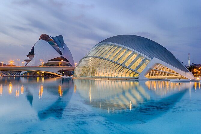 Private Tour of Valencia with Official Guide - Practical Tips for Your Tour Experience