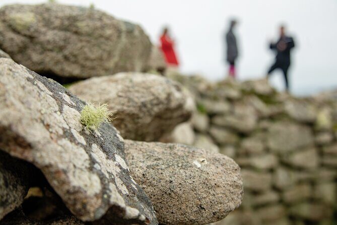 Private Tour of West Cornwall - Highly Varied Full Day Experience - Practical Details and Considerations