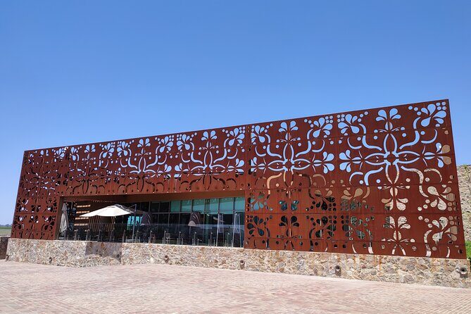 Private Tour of Wineries in San Miguel - A Closer Look at the Private Wineries Tour in San Miguel