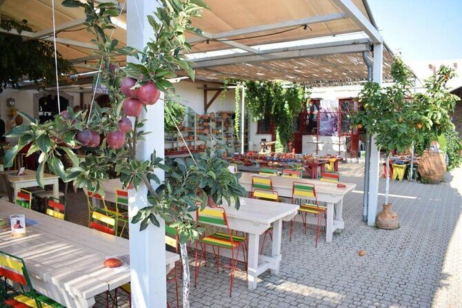 Private Tour, Olive Mill, Scotino Cave, Lasithi Plateau Half day. - What Past Travelers Say