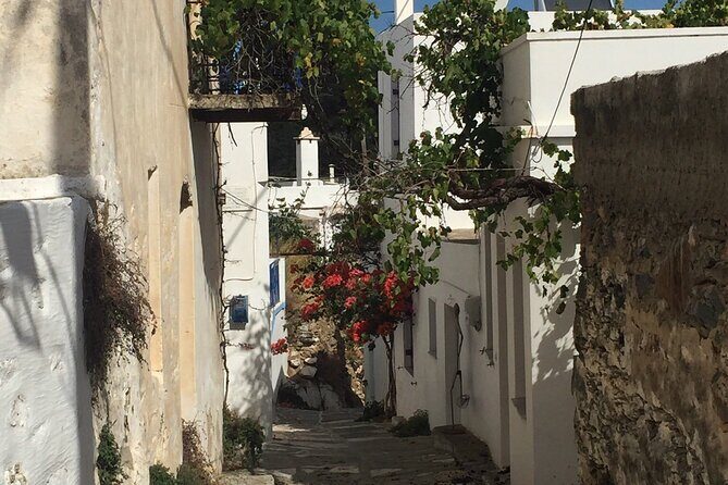 Private Tour on Paros Island - Transportation
