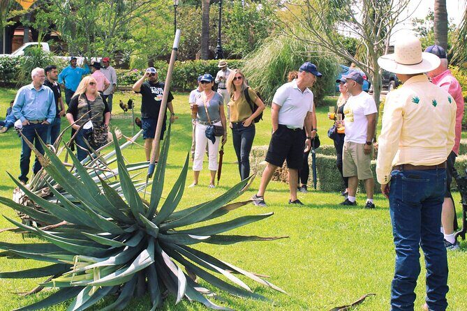 Private Tour one day in Los Guachimontones and Tequilera Cava de Oro - Frequently Asked Questions