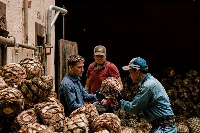 Private Tour one day of Adventure in Tequila and Tequilera Cascahuin - What’s Included and What’s Not