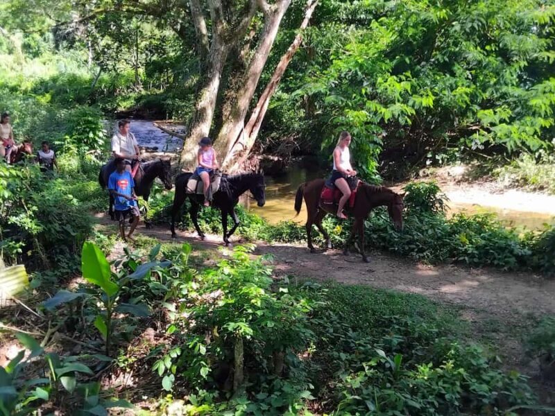 Private Tour: Pacific's Largest Dunes & Famous Waterfall - Introduction