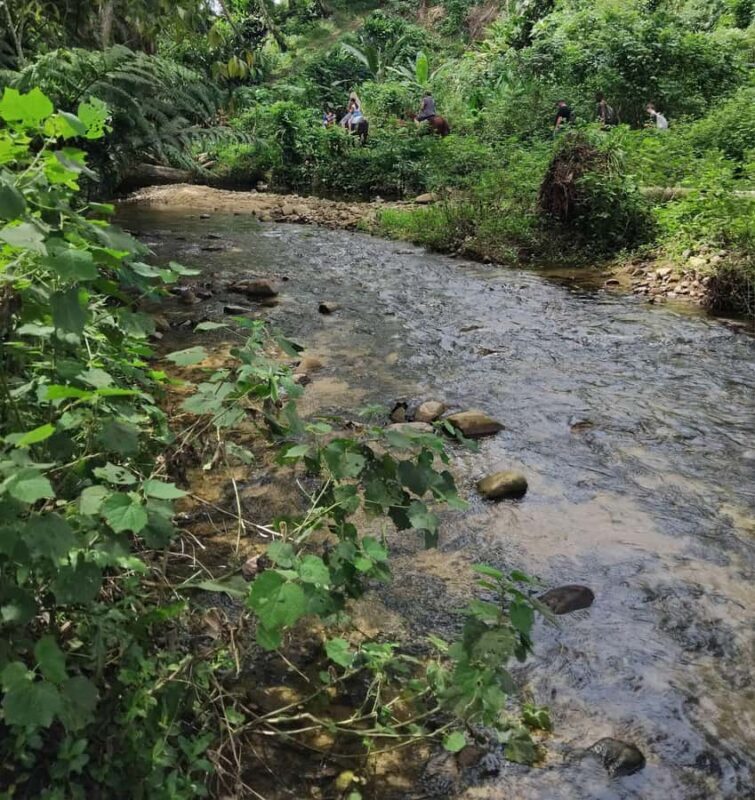 Private Tour: Pacific's Largest Dunes & Famous Waterfall - Scenic Sand Dunes and Historical Insights