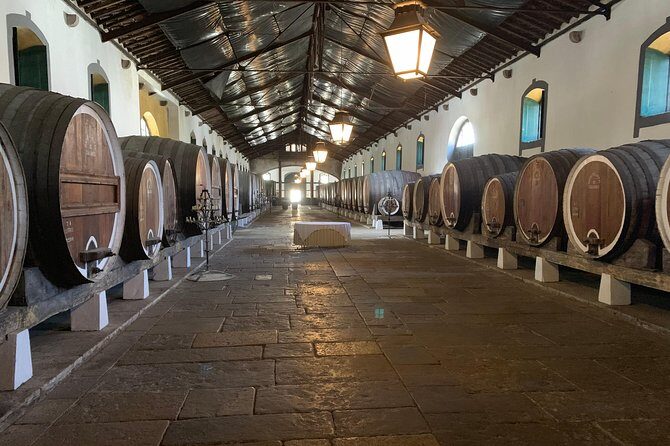 Private Tour, Pena Palace,Sintra,Cascais and Full Day Wine Tasting - FAQs