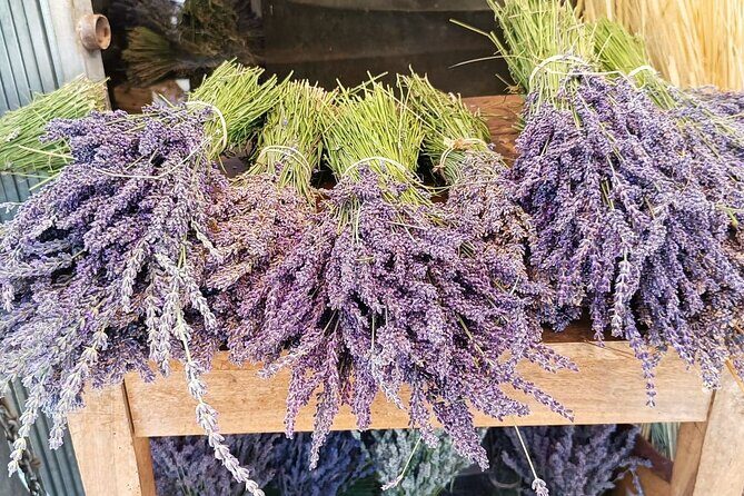 Private Tour Perched Villages of Luberon & (LAVENDER JUNE/JULY) - FAQ