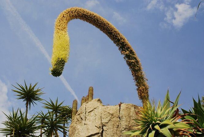 Private Tour: Personal Travel Photographer Tour in Monaco - Key Points