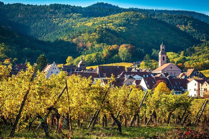 Private Tour: Picturesque Alsatian Villages & Wine Tasting with a local expert - Wine Tasting in Dopff Au Moulin