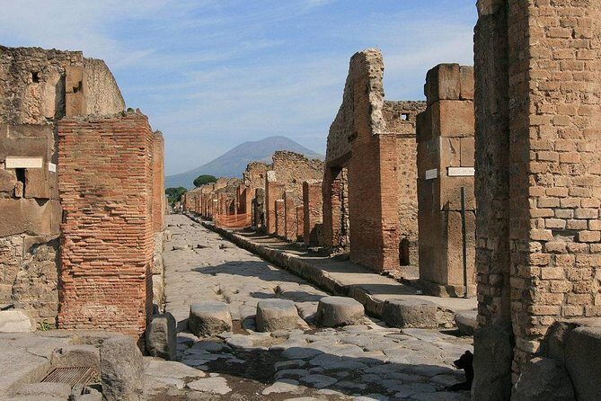 Private Tour: Pompeii and Positano Day Trip from Rome - Final Thoughts