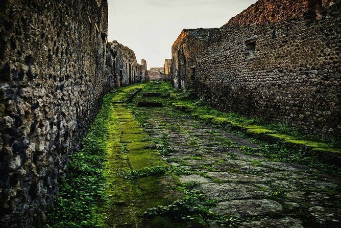 Private Tour Pompeii and Sorrento from Naples - The Sum Up