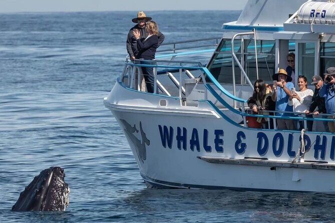 Private tour: Port Stephens, departing Newcastle - Whales! - An In-Depth Look at the Port Stephens Private Tour