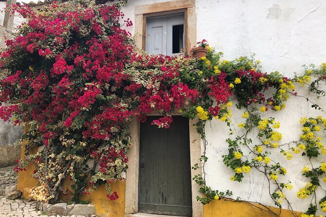 Private Tour: Porto to Lisbon: visit Aveiro,Coimbra,Fatima,Obidos - What Makes This Tour Stand Out?  