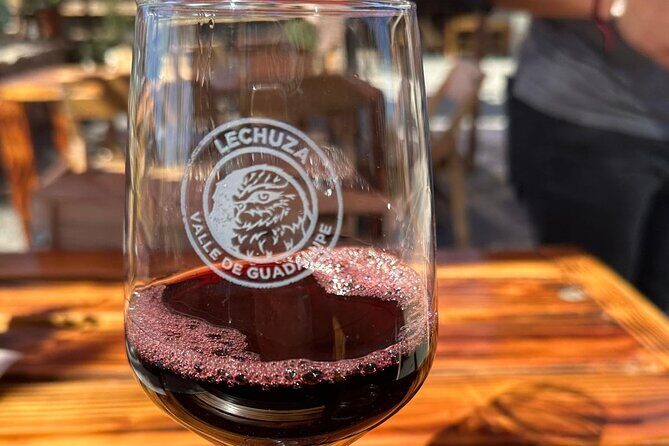 Private Tour Premium Wineries in the Valle de Guadalupe - Practical Tips for Your Tour