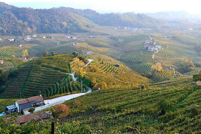 Private Tour: Prosecco Wine Tasting Day Trip with Lunch from Venice - Practical Tips for Booking and Participation