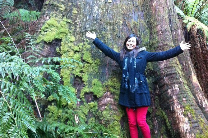 [PRIVATE TOUR] Puffing Billy and Dandenong Mountains - A Deep Dive into the Experience