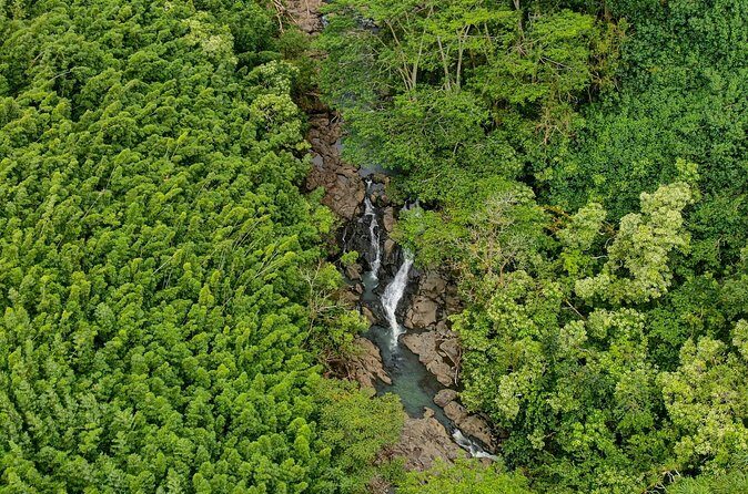 Private Tour Road to Hana Tour from Maui - Why This Tour Offers Great Value
