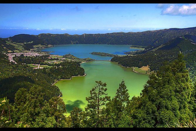 Private Tour: Rotorua and Waitomo Caves Day Trip from Auckland - The Sum Up