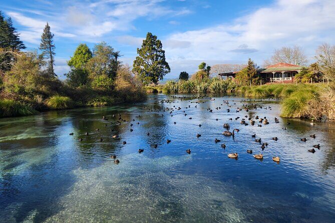 Private Tour Rotorua + Blue springs + WaiOtapu + Redwood forest - Discover the Magic of Rotorua with a Private Full-Day Tour