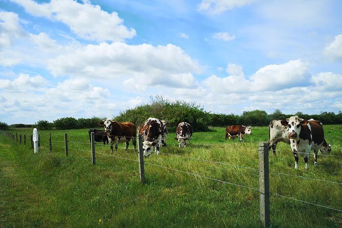 Private Tour: Rouen and Giverny Day Trip from Bayeux - FAQ