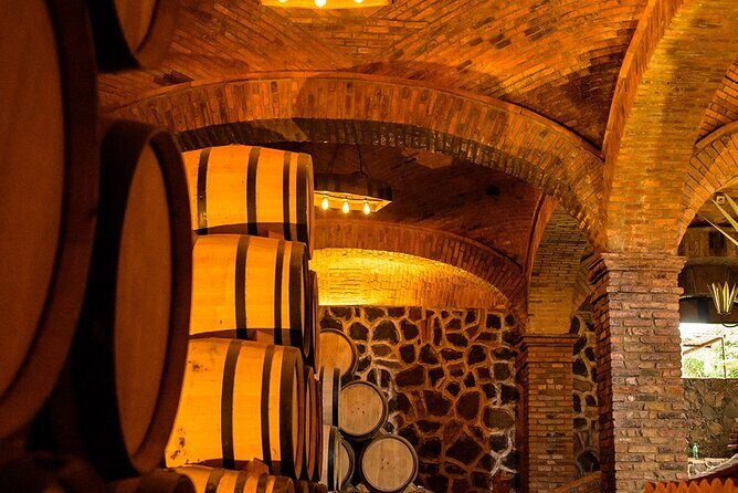 Private Tour Route Elaboration of Tequila in Guadalajara - FAQs