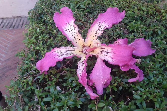 Private tour Royal Palace+Cathedral+old Jewish neighbourhood - Authentic Experiences and Unique Insights