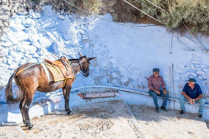 Private Tour Santorini: Explore the Island in One Day - FAQ