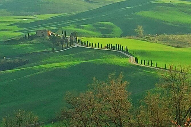 PRIVATE TOUR: Savor Exquisite Wines, Brunello & Nobile Wine Tour - An Overview of the Experience