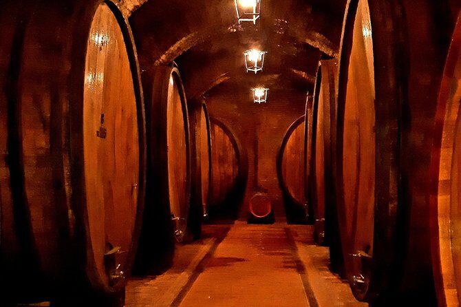 PRIVATE TOUR: Savor Exquisite Wines, Brunello & Nobile Wine Tour - Who Should Consider This Tour?