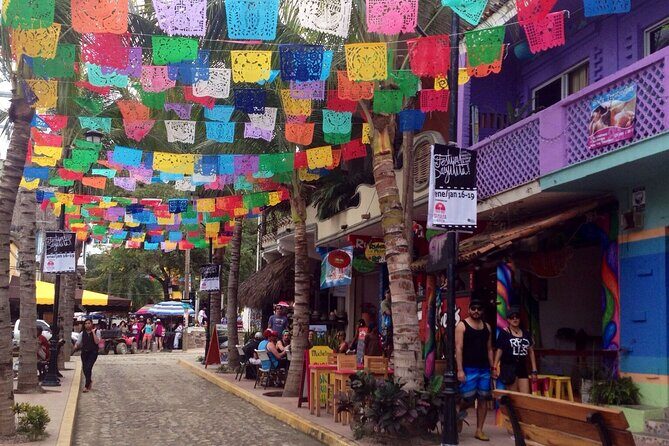 Private Tour, Sayulita & San Pancho - An In-Depth Look at the Tour Experience