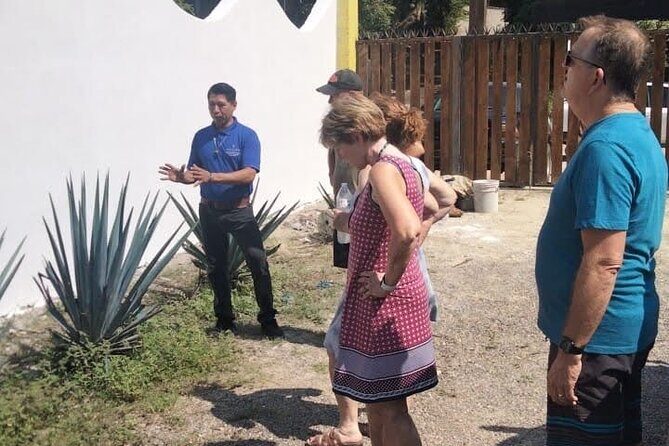 Private Tour, Sayulita & San Pancho - FAQ