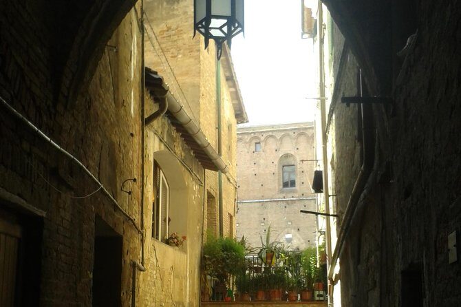 Private Tour: Siena Walking Tour - What to Expect from the Siena Walking Tour